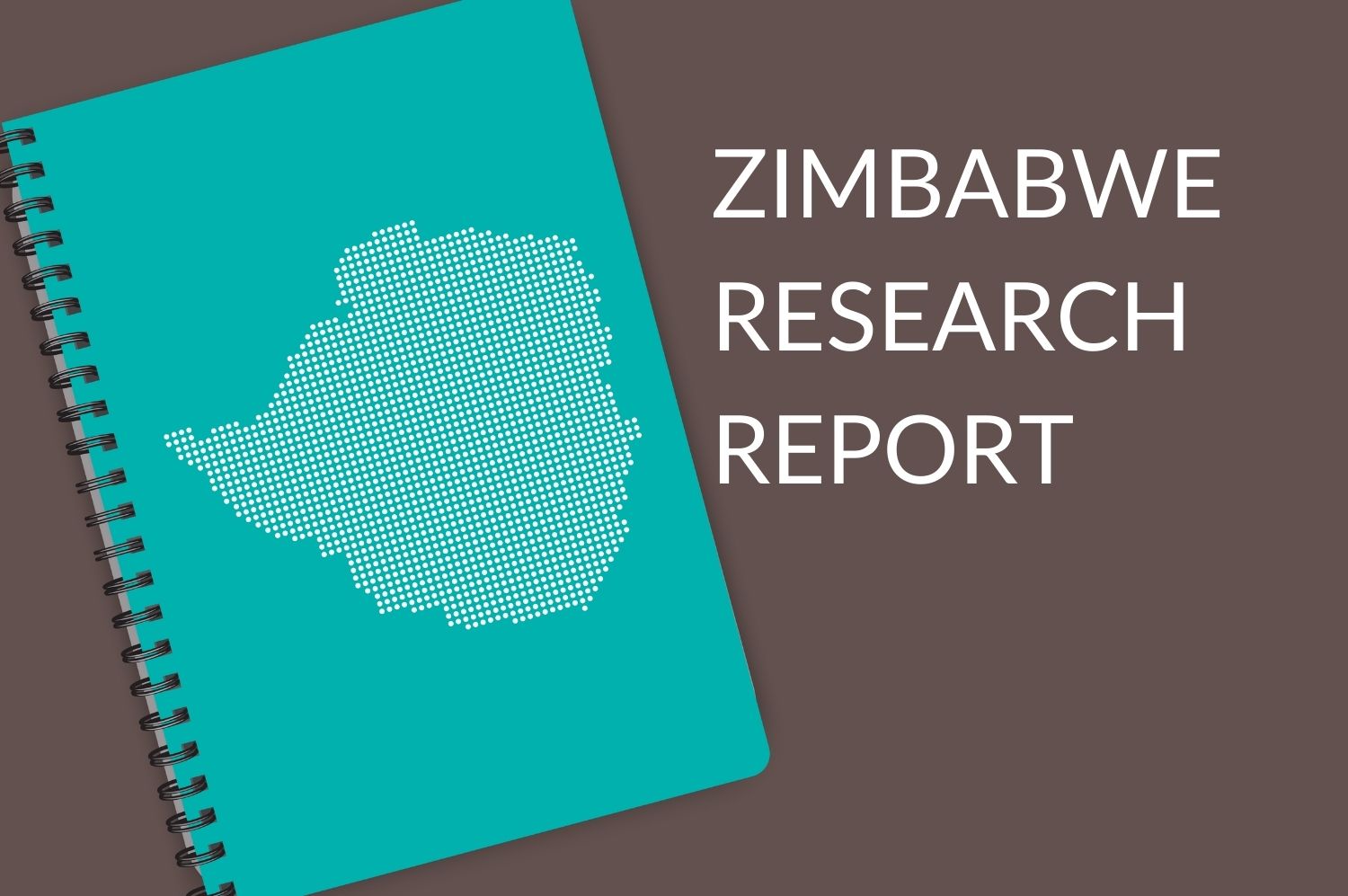 Community Development: Issues and Needs Prioritization